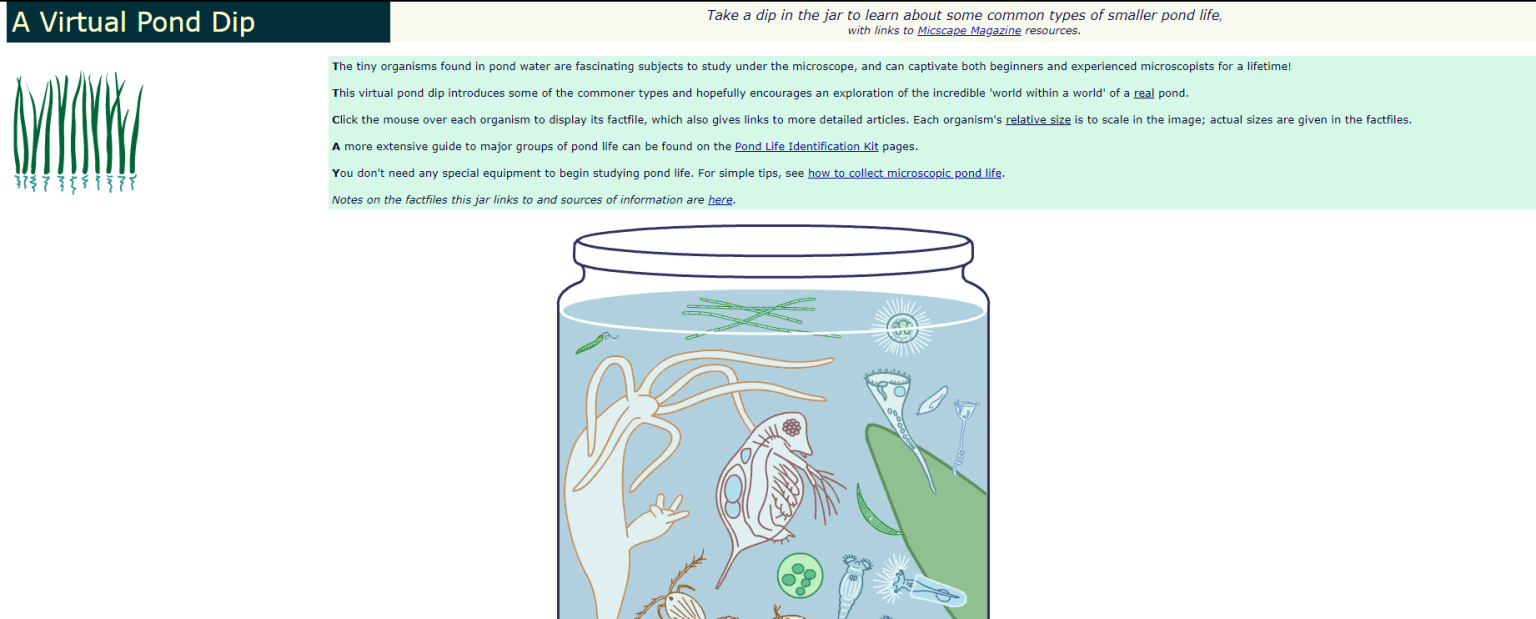 Art of Microscopy & Life in a Drop of Water – Dr. Oli’s Microbiology ...