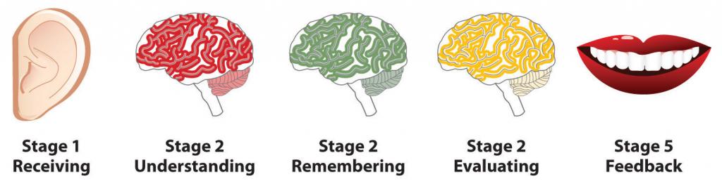 4.4 Stages of Listening — Stand up, Speak out – Stand Up Speak Out 4.4 Stages of Listening — Stand up, Speak out – Stand Up Speak Out
